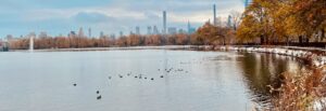 Is Fishing Allowed in Central Park? Regulations, Spots, and Tips